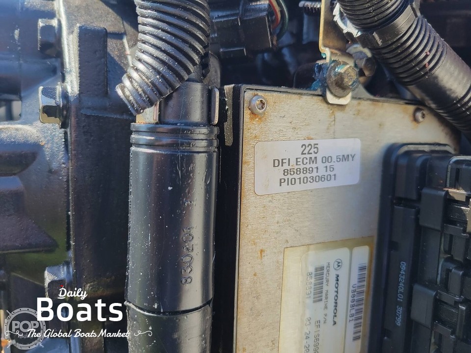 1998 Blue Fin Profish for sale. View price, photos and Buy 1998 Blue ...