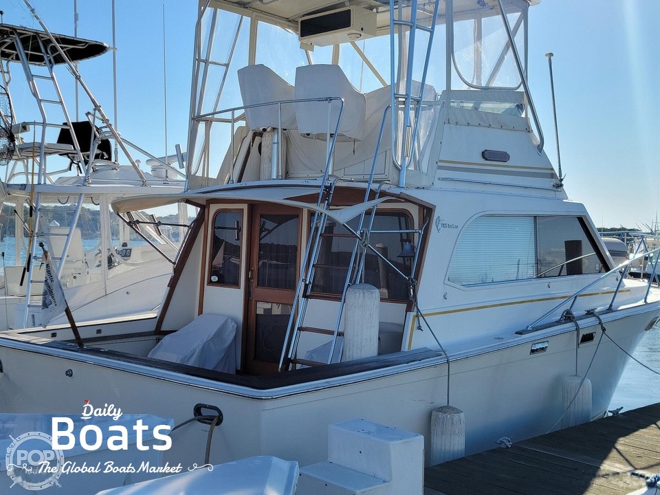 1985 Egg Harbor 33 Sportfisher for sale. View price, photos and Buy ...