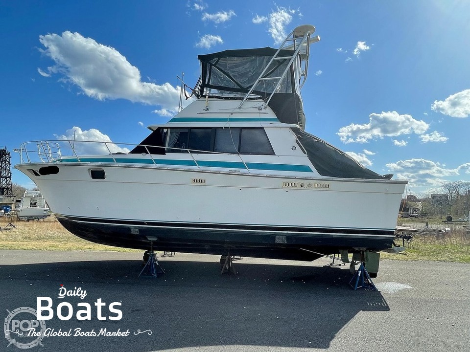 1981 Silverton 37 Convertible for sale. View price, photos and Buy 1981 ...