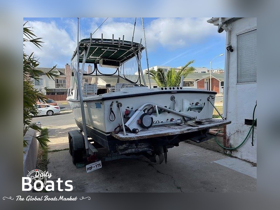 Shamrock Boats 260 Predator Open for sale. View price, photos and Buy ...