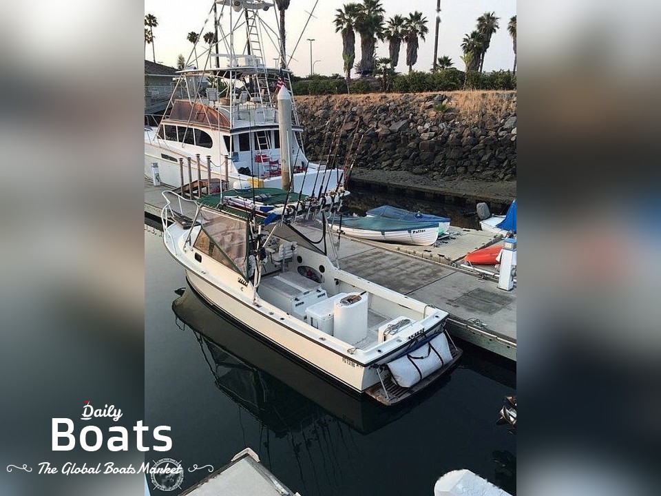 Shamrock Boats 260 Predator Open for sale. View price, photos and Buy ...