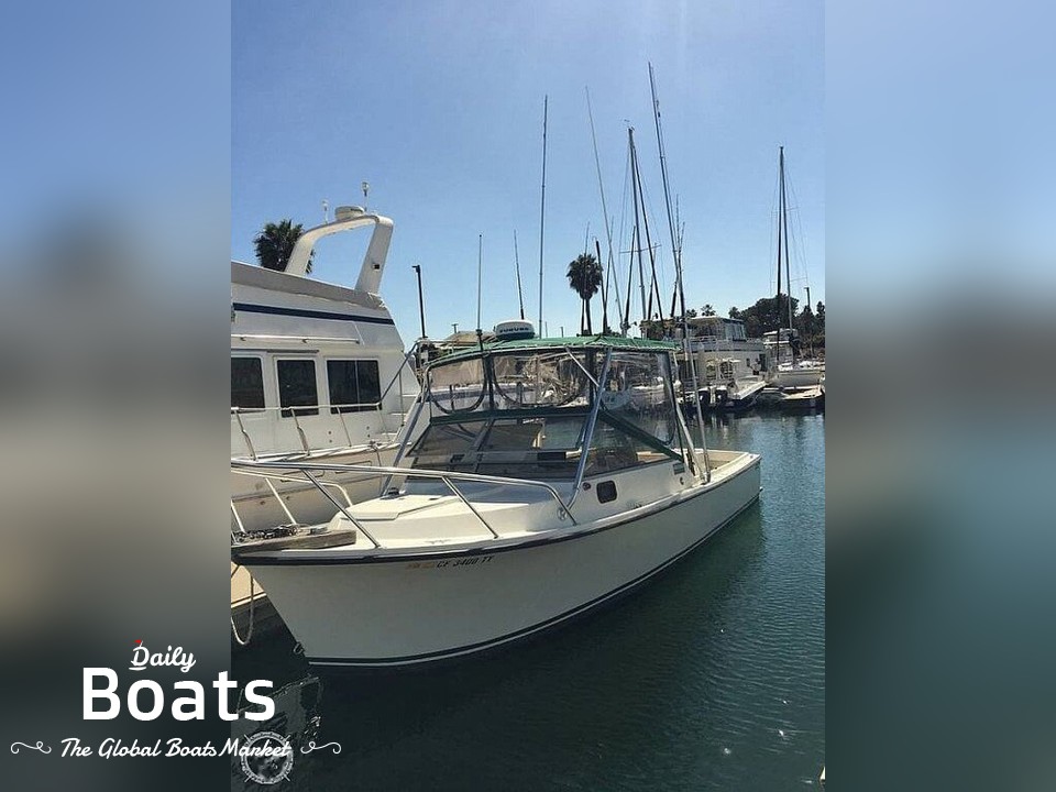 Shamrock Boats 260 Predator Open for sale. View price, photos and Buy ...