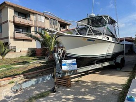 Shamrock Boats 260 Predator Open for sale. View price, photos and Buy ...