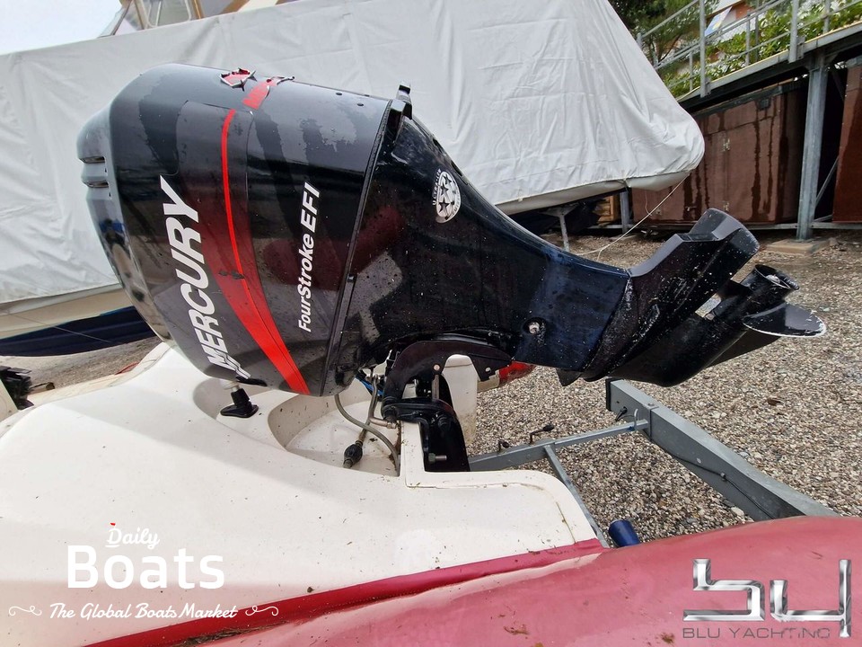 2014 e-Sea 430 Pro Tender Rib-Vii for sale. View price, photos and Buy ...