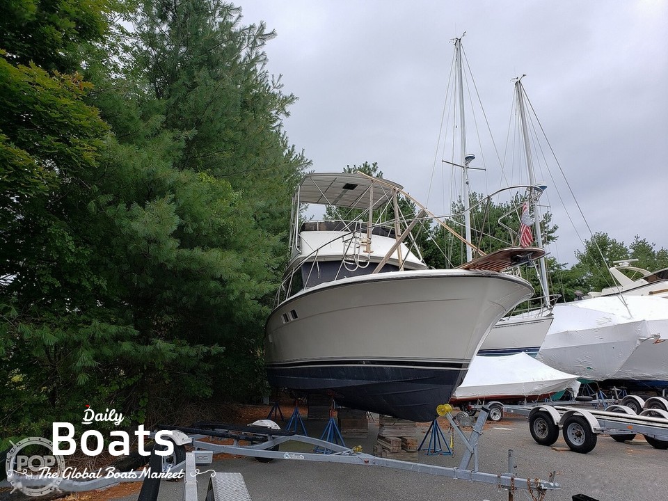 1988 Trojan 32 Sedan Flybridge for sale. View price, photos and Buy ...