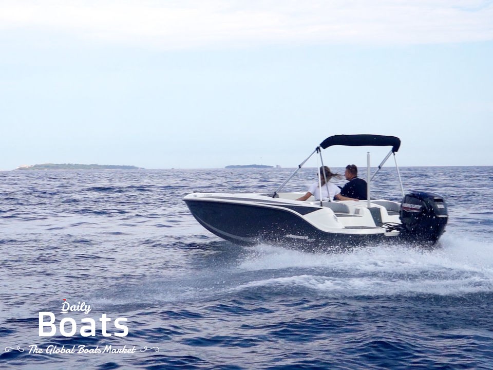2022 Bayliner Element M17 for sale. View price, photos and Buy 2022 ...