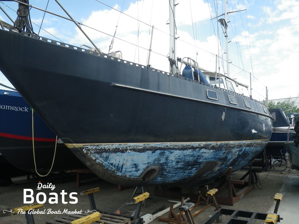 Dick Zaal Black Pearl For Sale View Price Photos And Buy Dick Zaal