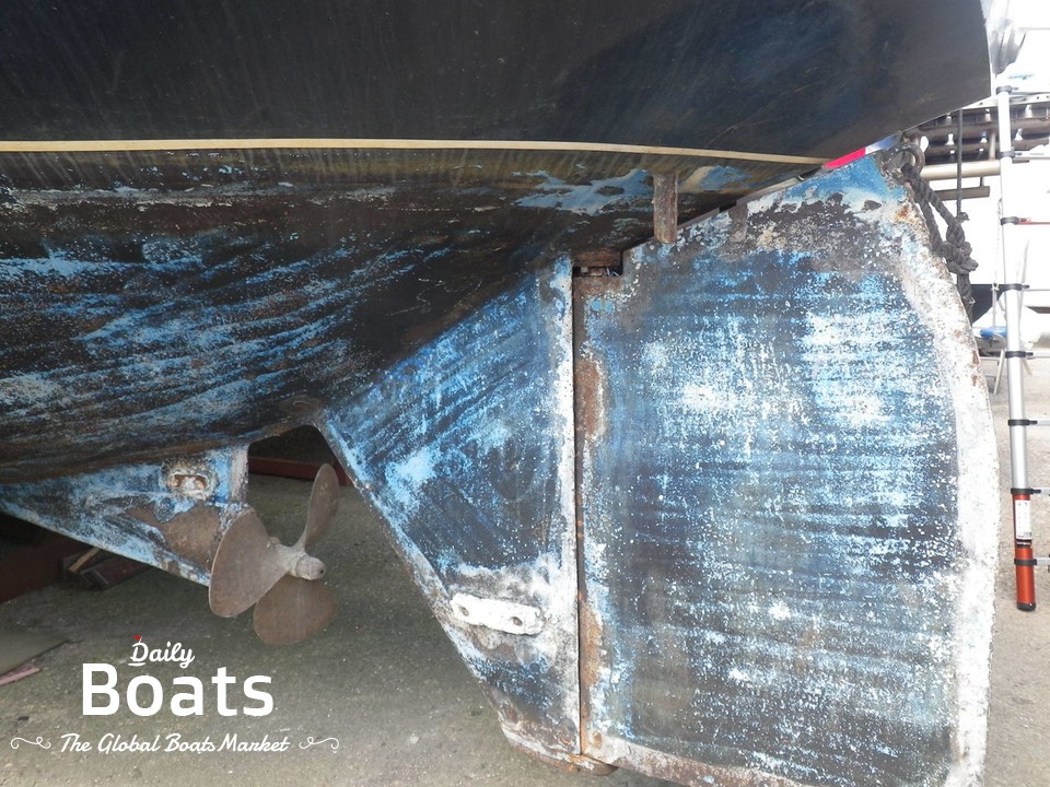 Dick Zaal Black Pearl For Sale View Price Photos And Buy Dick Zaal