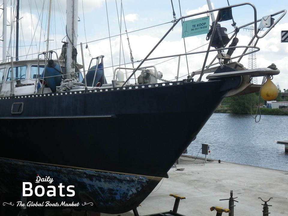 Dick Zaal Black Pearl For Sale View Price Photos And Buy Dick Zaal