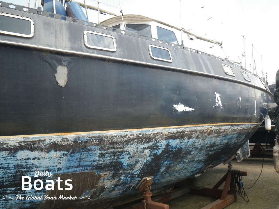 Dick Zaal Black Pearl For Sale View Price Photos And Buy Dick Zaal