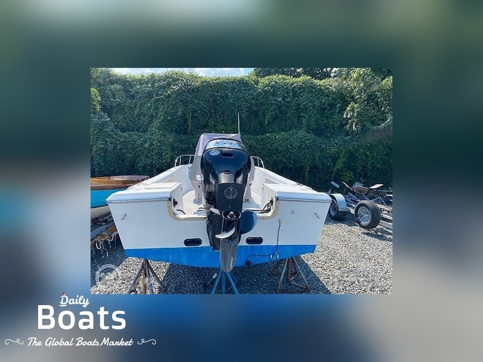 1989 Sea Hawk Marine 18 for sale. View price, photos and Buy 1989 Sea ...