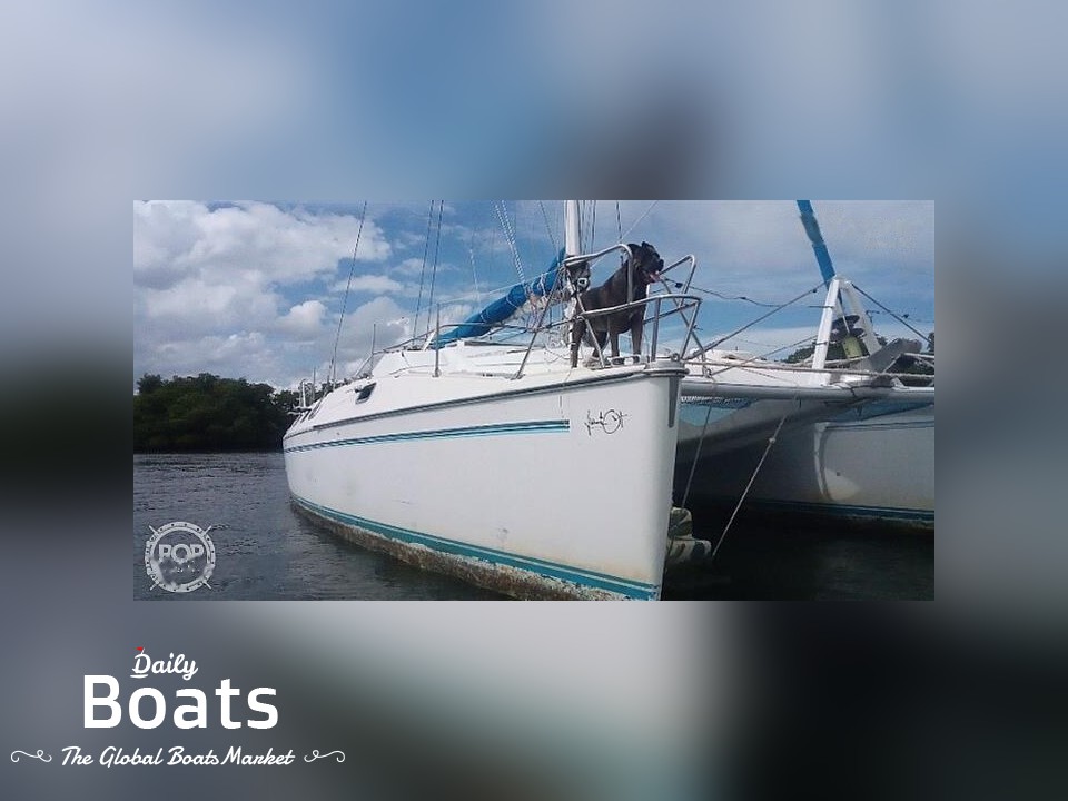 1992 Jeantot Privilege Cat 39 for sale. View price, photos and Buy 1992 ...