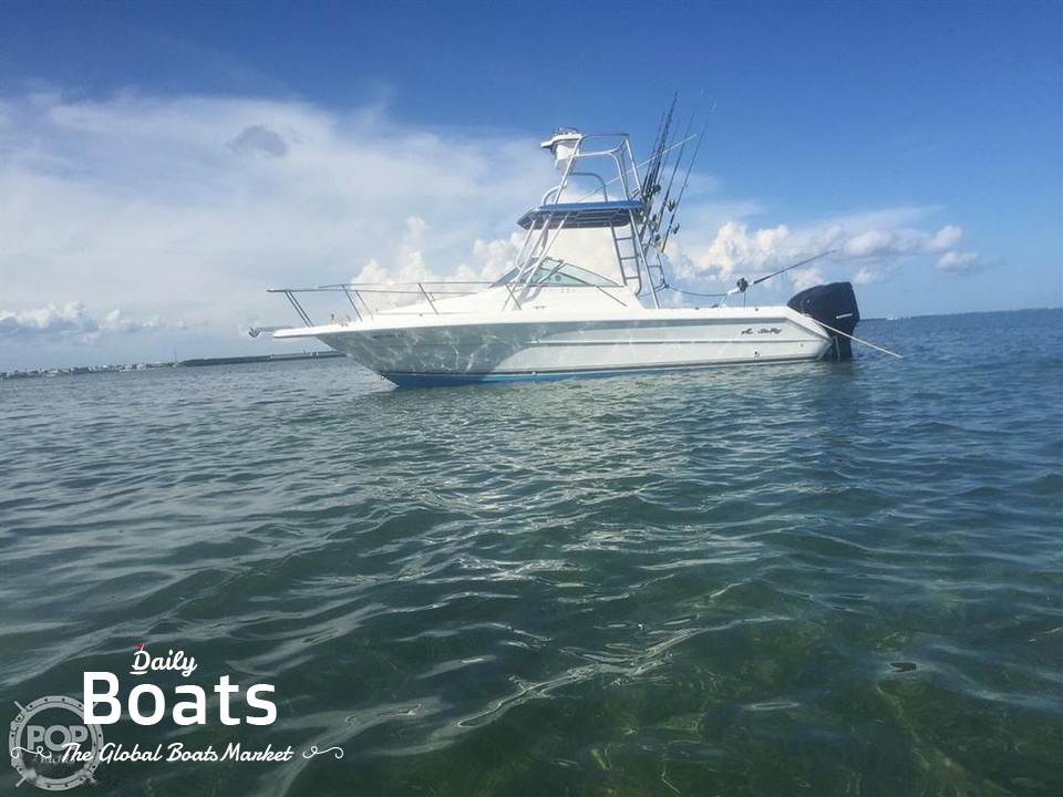 1989 Sea Ray 24 Laguna Flush Deck Cuddy for sale. View price, photos ...