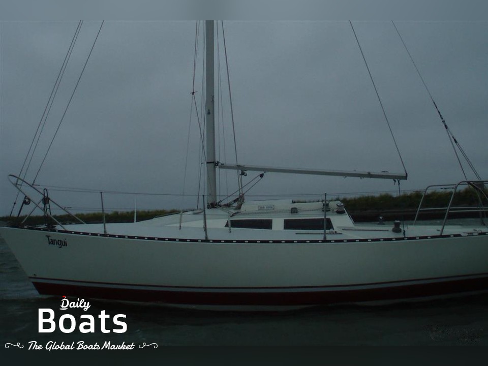 1980 Unclassified Evolution 26 for sale. View price, photos and Buy ...