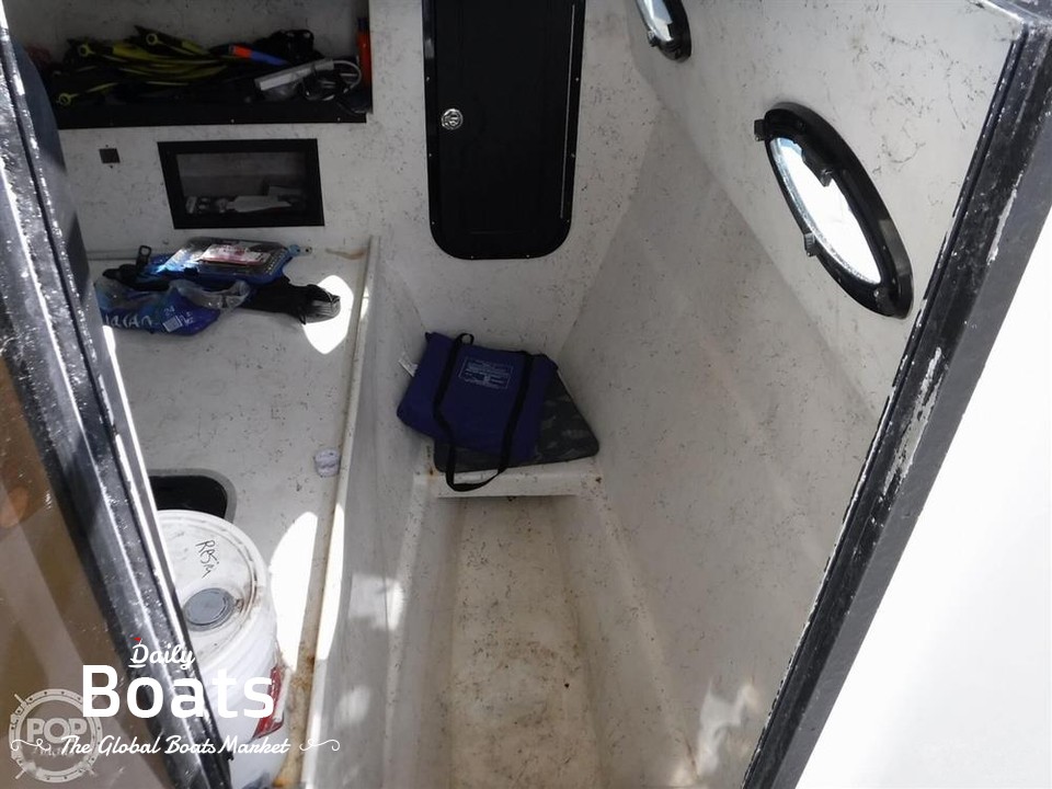 2004 Twin Vee Power Catamaran Weekender for sale. View price, photos ...