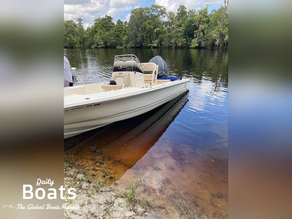 Used Scout winyah bay 221 for sale - Daily Boats