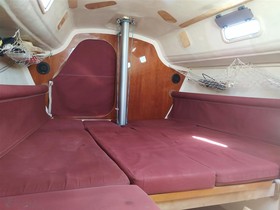 2003 Talinco Composites Monotype for sale. View price, photos and Buy ...