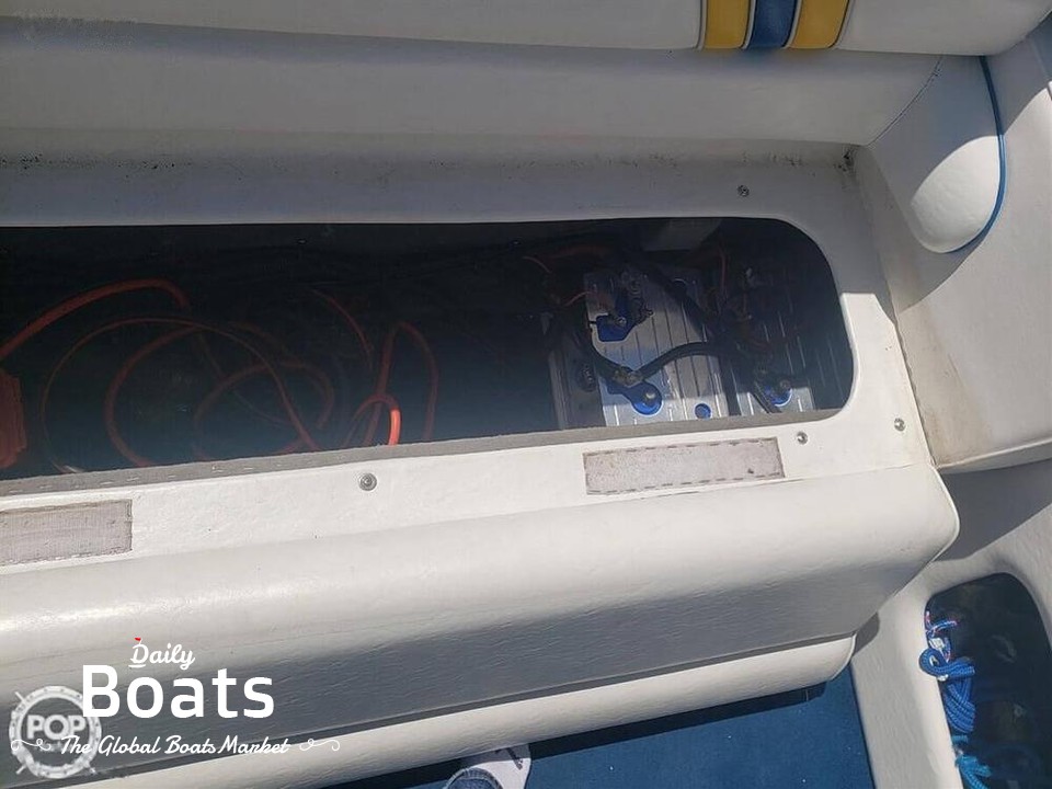 2005 Warlock Powerboats 29 World Class for sale. View price, photos and ...