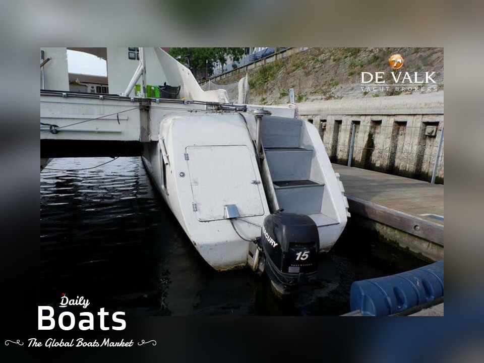 2010 Self-made Catamaran 40 Ft for sale. View price, photos and Buy ...