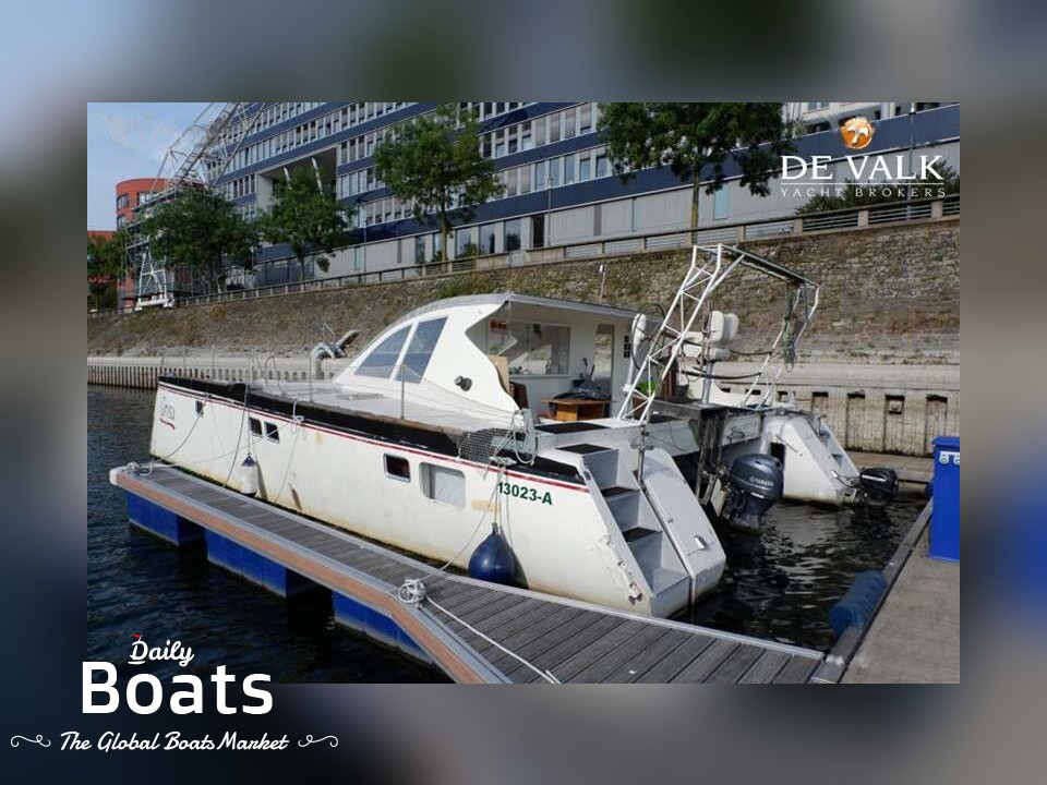 2010 Self-made Catamaran 40 Ft for sale. View price, photos and Buy ...