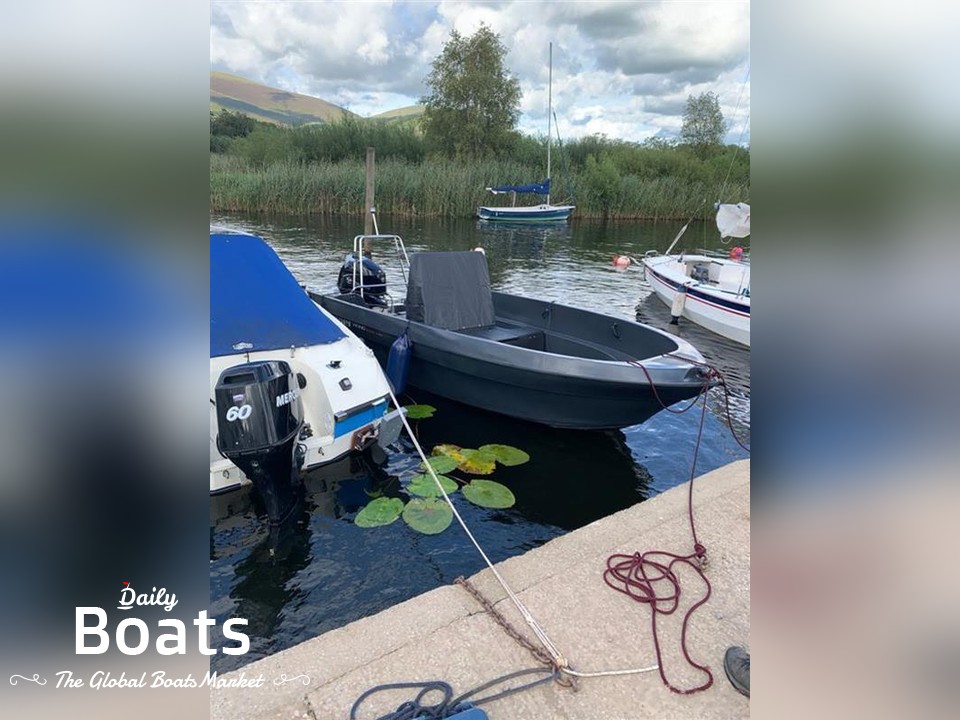 2020 Pioner Viking for sale. View price, photos and Buy 2020 Pioner ...