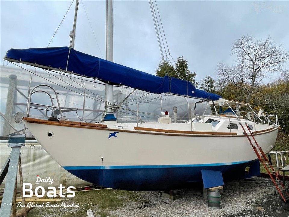 Junk rigged 34ft sailing yacht for sale - Daily Boats