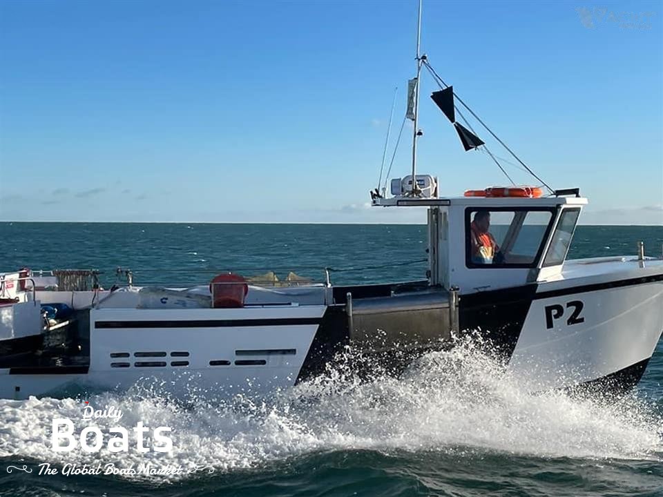 2021 Phantom Boats Marine Aquafish Pmc9.9 for sale. View price, photos ...