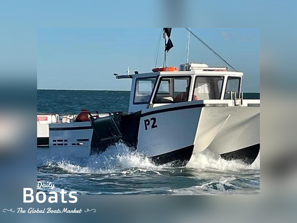 2021 Phantom Boats Marine Aquafish Pmc9.9 for sale. View price, photos ...