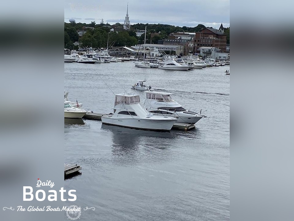 1976 Jersey 42 for sale. View price, photos and Buy 1976 Jersey 42 #276428