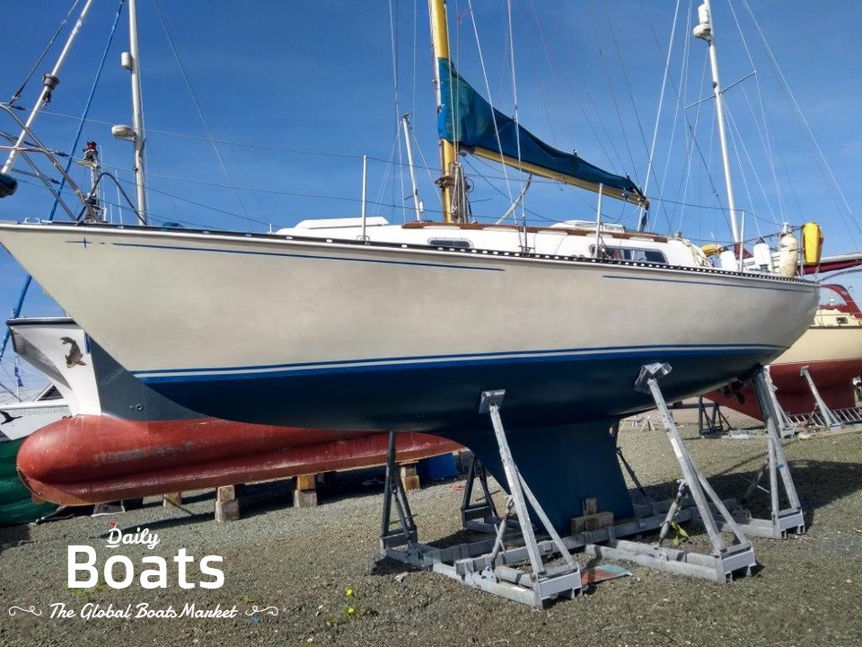 1977 Trapper 500 for sale. View price, photos and Buy 1977 Trapper 500 ...