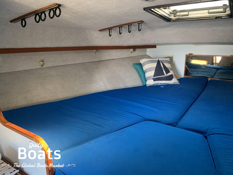 1990 Atlantic Sportfish Express 34 for sale. View price, photos and Buy ...