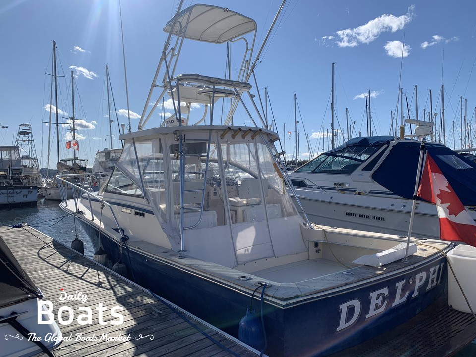 1990 Atlantic Sportfish Express 34 for sale. View price, photos and Buy ...