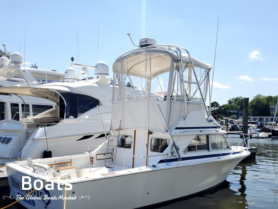 1977 Bertram 28 Flybridge Cruiser for sale. View price, photos and Buy ...