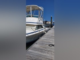 1977 Bertram 28 Flybridge Cruiser for sale. View price, photos and Buy ...