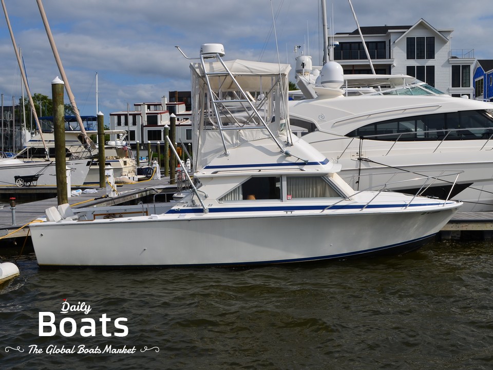 1977 Bertram 28 Flybridge Cruiser for sale. View price, photos and Buy ...