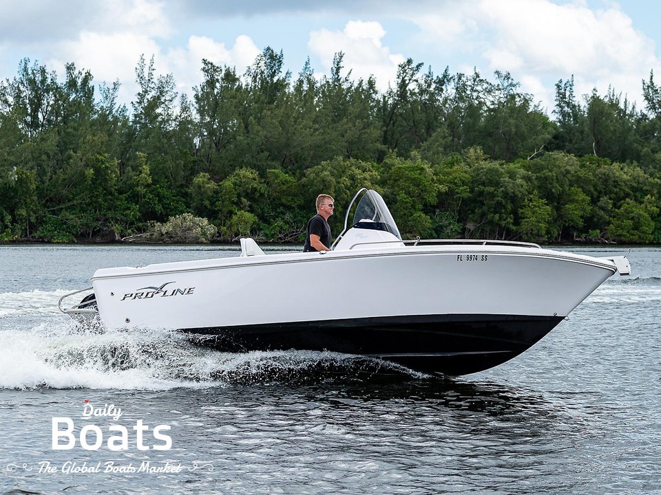 2019 Pro-Line 20 Cc for sale. View price, photos and Buy 2019 Pro-Line ...