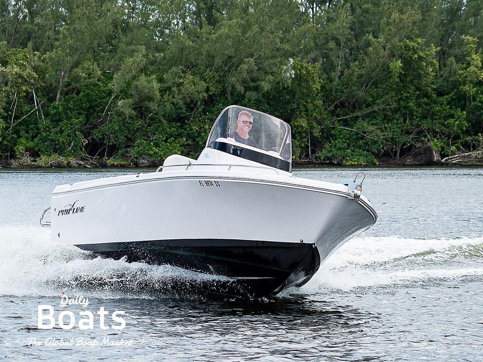 2019 Pro-Line 20 Cc for sale. View price, photos and Buy 2019 Pro-Line ...