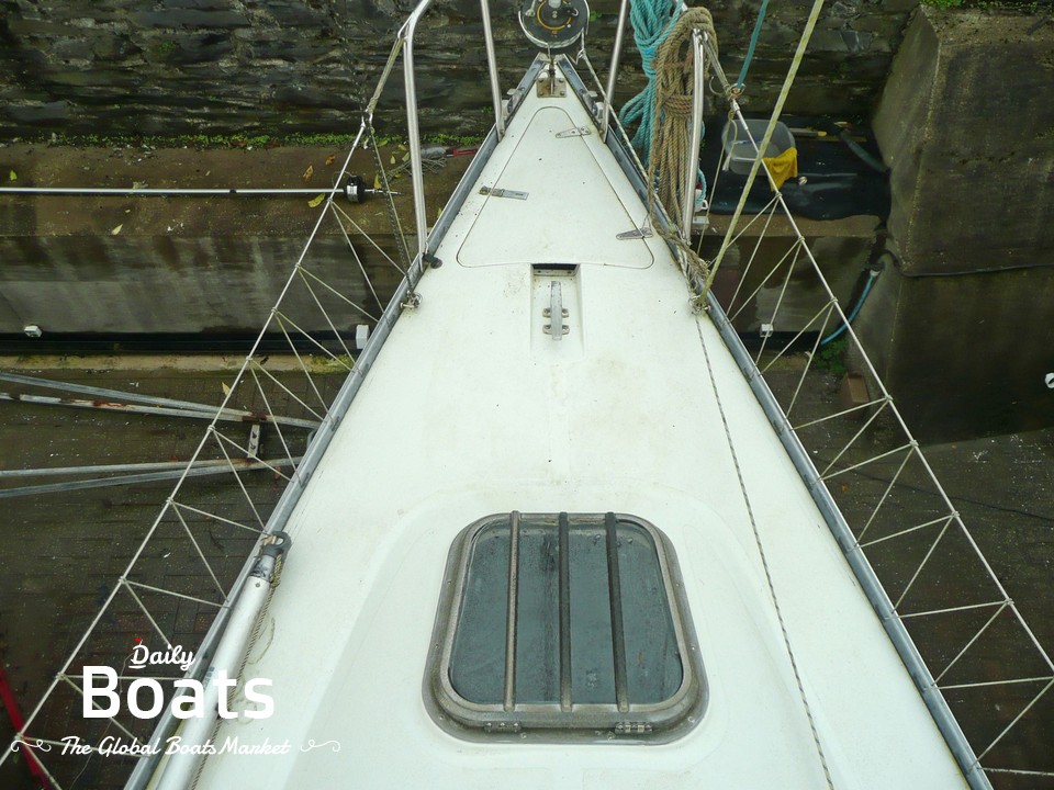 Trapper TS240 for sale. View price, photos and Buy Trapper TS240 #280542