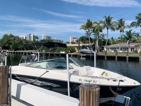 Runabout boats - Boat types - Daily Boats