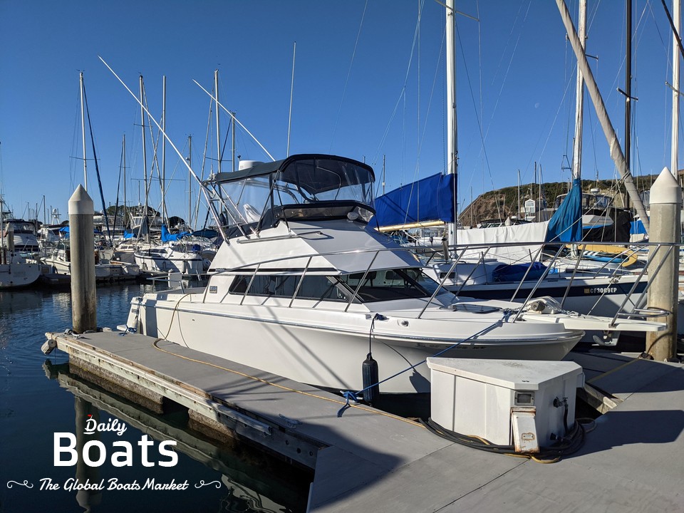 1995 Skipjack 262 Flybridge for sale. View price, photos and Buy 1995 ...