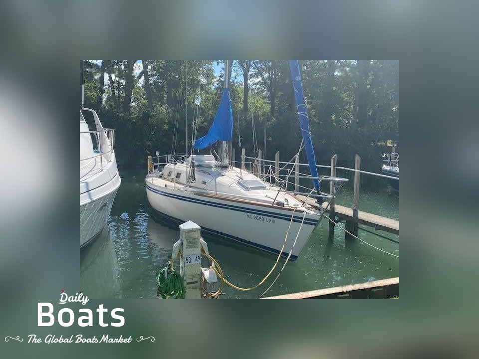 1984 Morgan 36 for sale. View price, photos and Buy 1984 Morgan 36 #282638