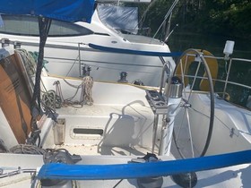 1984 Morgan 36 for sale. View price, photos and Buy 1984 Morgan 36 #282638