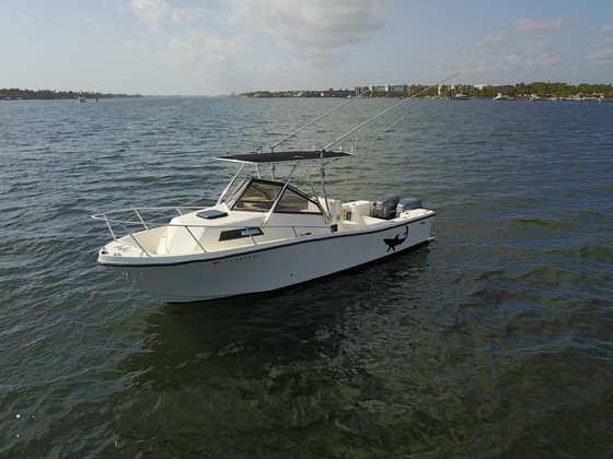 Walkaround boats - Boat types - Daily Boats