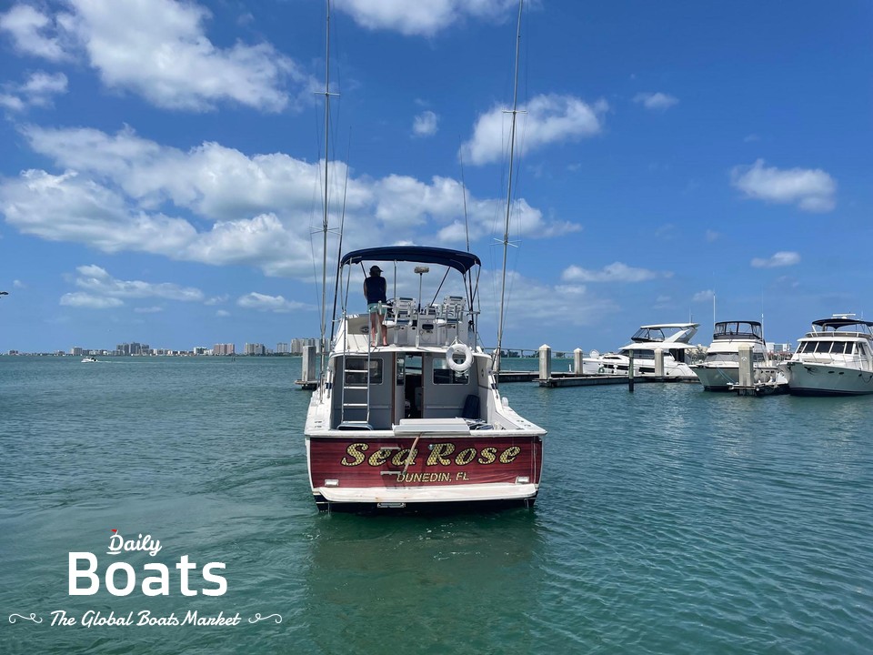 1981 Bertram 33 Sport Fisherman for sale. View price, photos and Buy ...