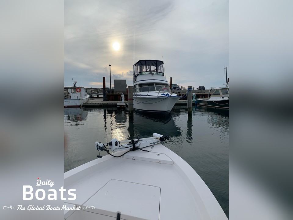 1982 Bertram 33 Sport Fisherman for sale. View price, photos and Buy ...