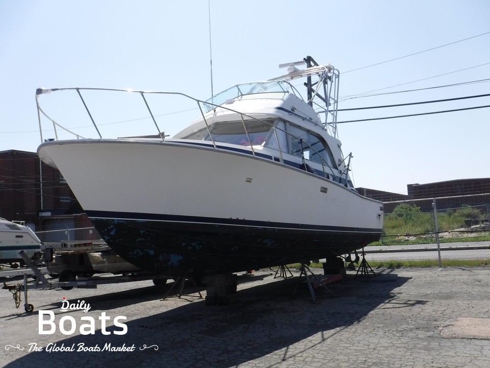 1982 Bertram 33 Sport Fisherman for sale. View price, photos and Buy ...