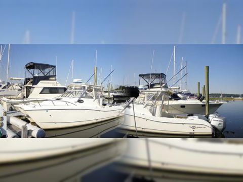 2004 World Cat 270 Ec for sale. View price, photos and Buy 2004 World ...