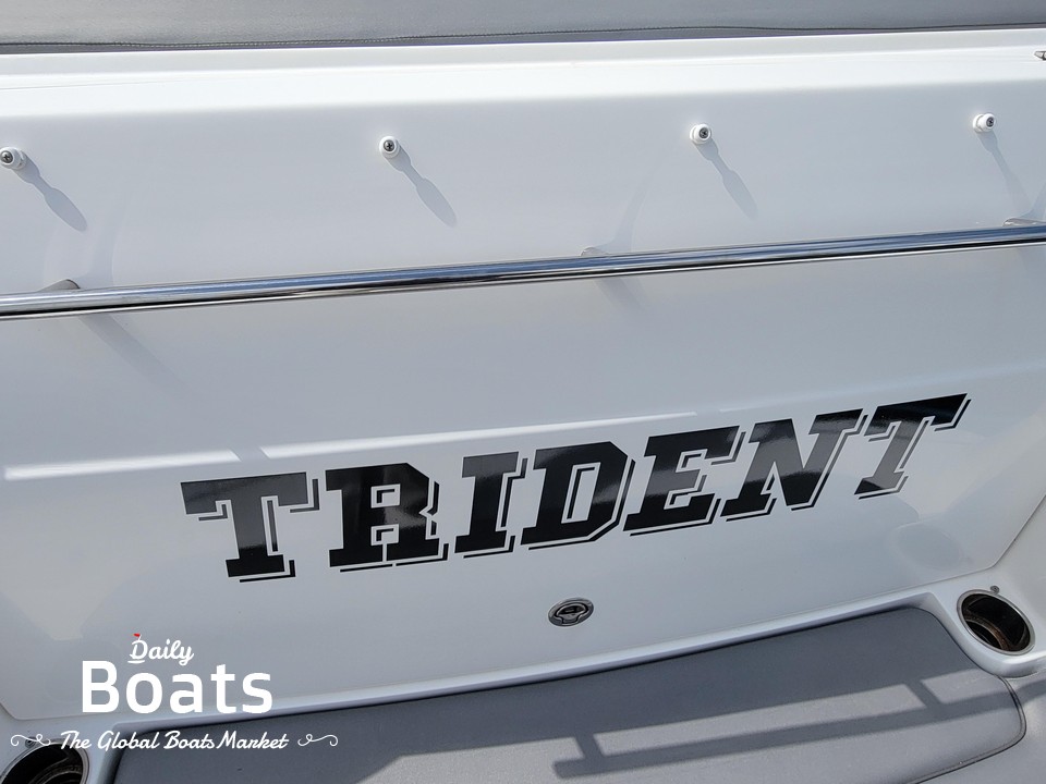 2020 Rinker 37 Express Cruiser for sale. View price, photos and Buy ...