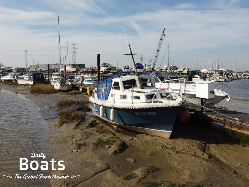 1974 Mitchell 31 Mk 1 for sale. View price, photos and Buy 1974 ...