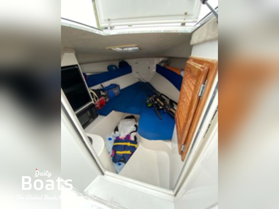 2001 Jupiter 31 Cuddy Cabin for sale. View price, photos and Buy 2001 ...